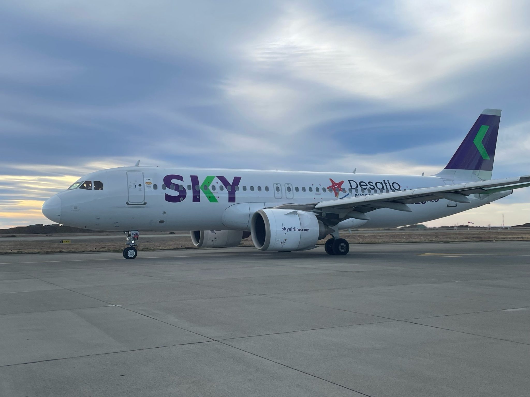 El viaje de la Ranita de Loa: SKY Airline transportó a la especie en peligro crítico de ...