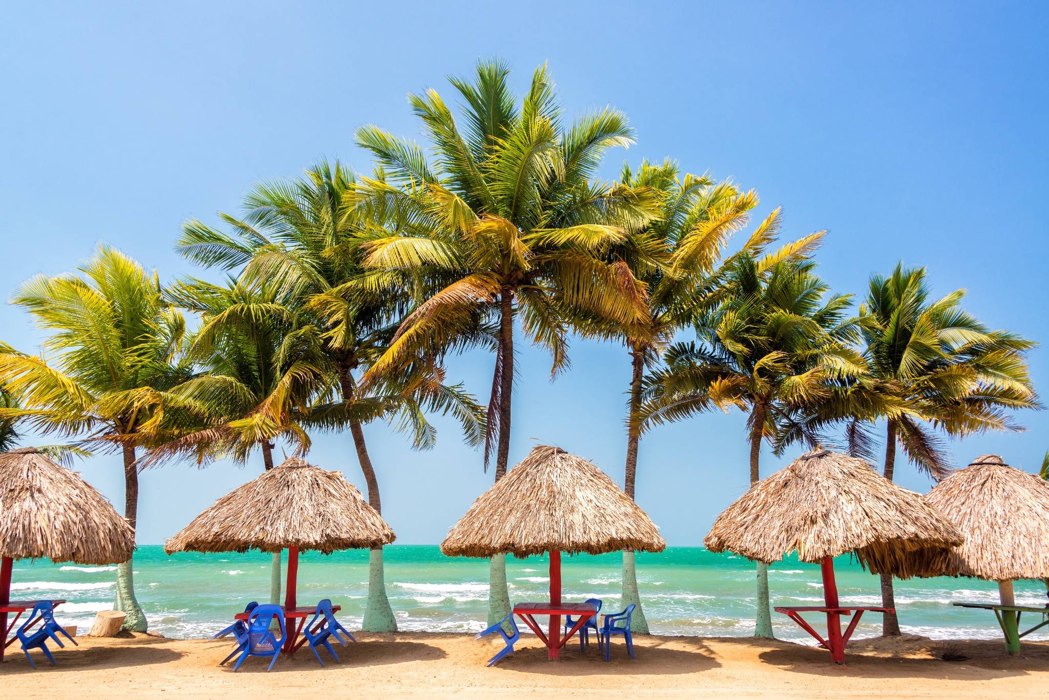 ¿Dónde queda Punta Cana y cómo llegar a este paraíso del Caribe? – SKY ...