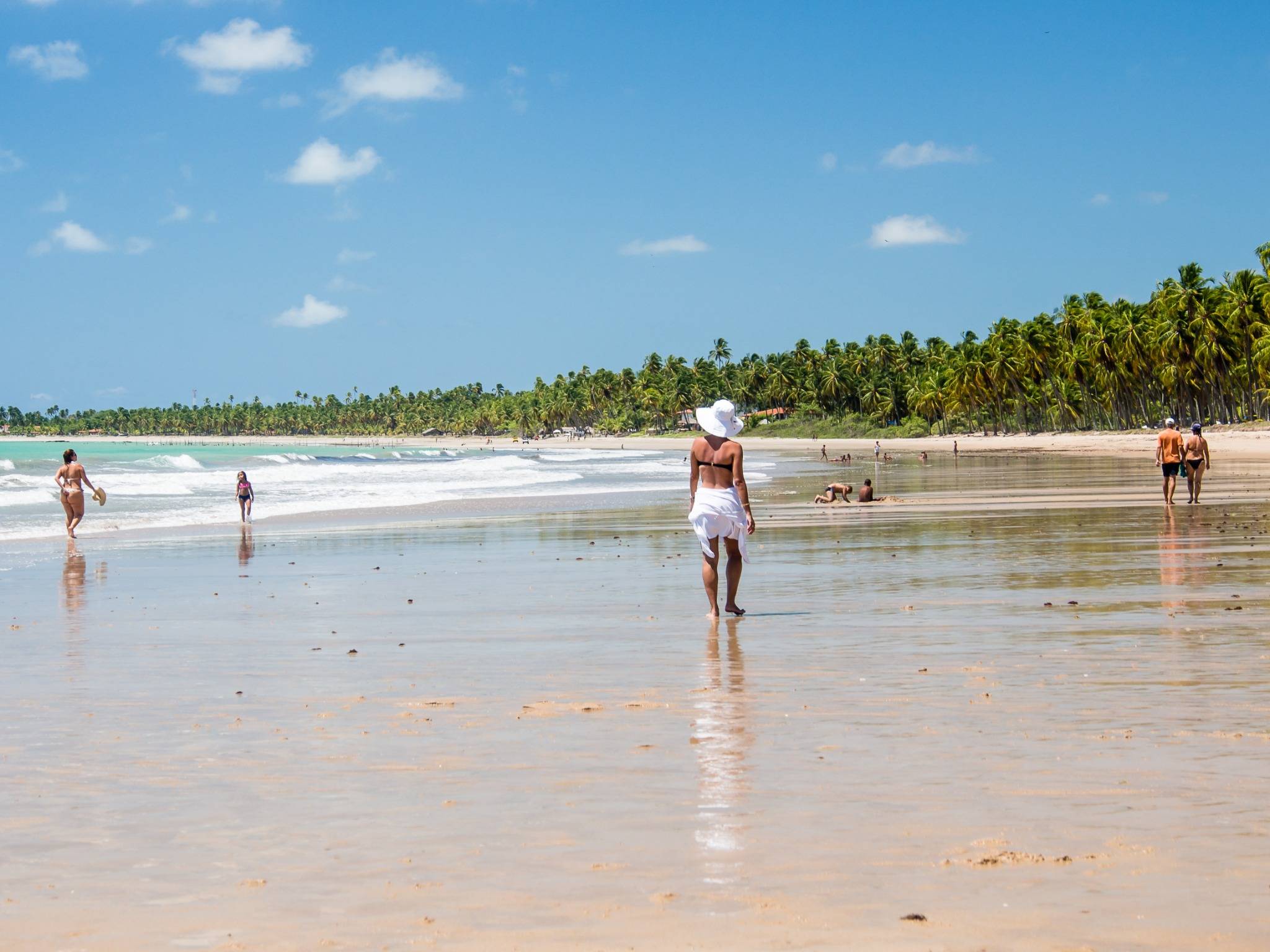 Playas de Salvador de Bahía: cuáles visitar y cómo llegar volando con ...